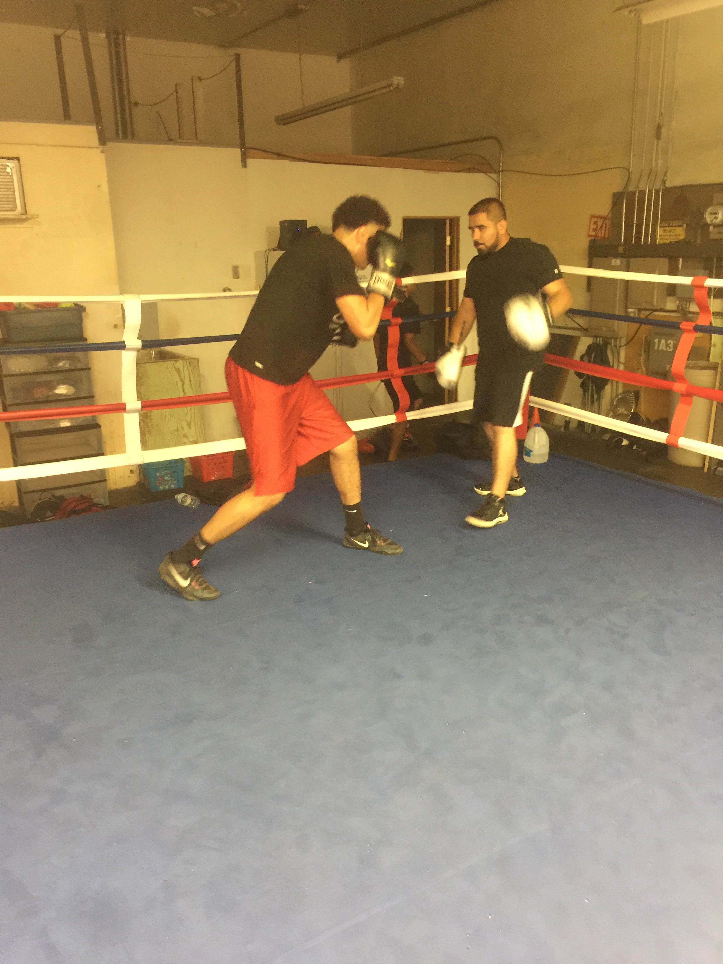 19A78C2A-1D01-4E77-B10B-7656F99FE467 – DUNGEON BOXING CLUB